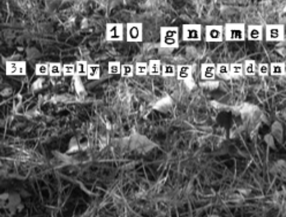 10 Gnomes 3: Spring Garden March - Play Online on Flash Museum 🕹️