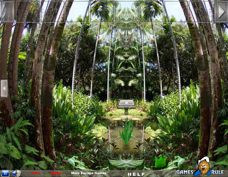 Amazon Rainforest Escape - Play Online on Flash Museum 🕹️