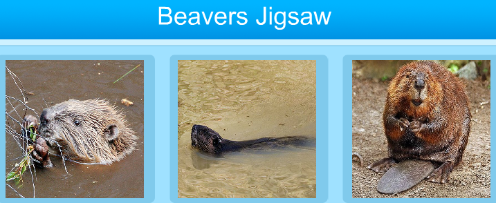 Beavers Jigsaw - Play Online on Flash Museum 🕹️