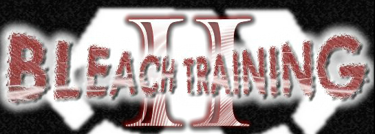 Bleach Training II - Play Online on Flash Museum 🕹️