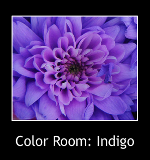 Color Room: Indigo - Play Online on Flash Museum 🕹️