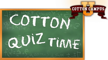 Cotton Quiz Time - Play Online on Flash Museum 🕹️