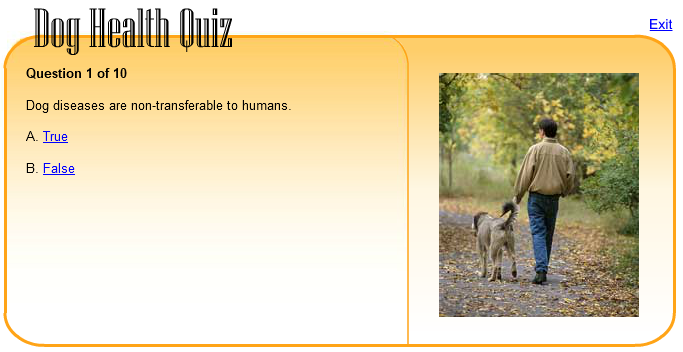 Dog Health Quiz - Play Online on Flash Museum 🕹️