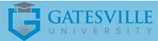 Gatesville University Demo - Play Online on Flash Museum 🕹️