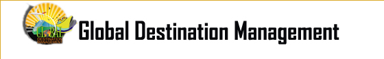 Global Destination Management Website Banner (India) - Play Online on ...