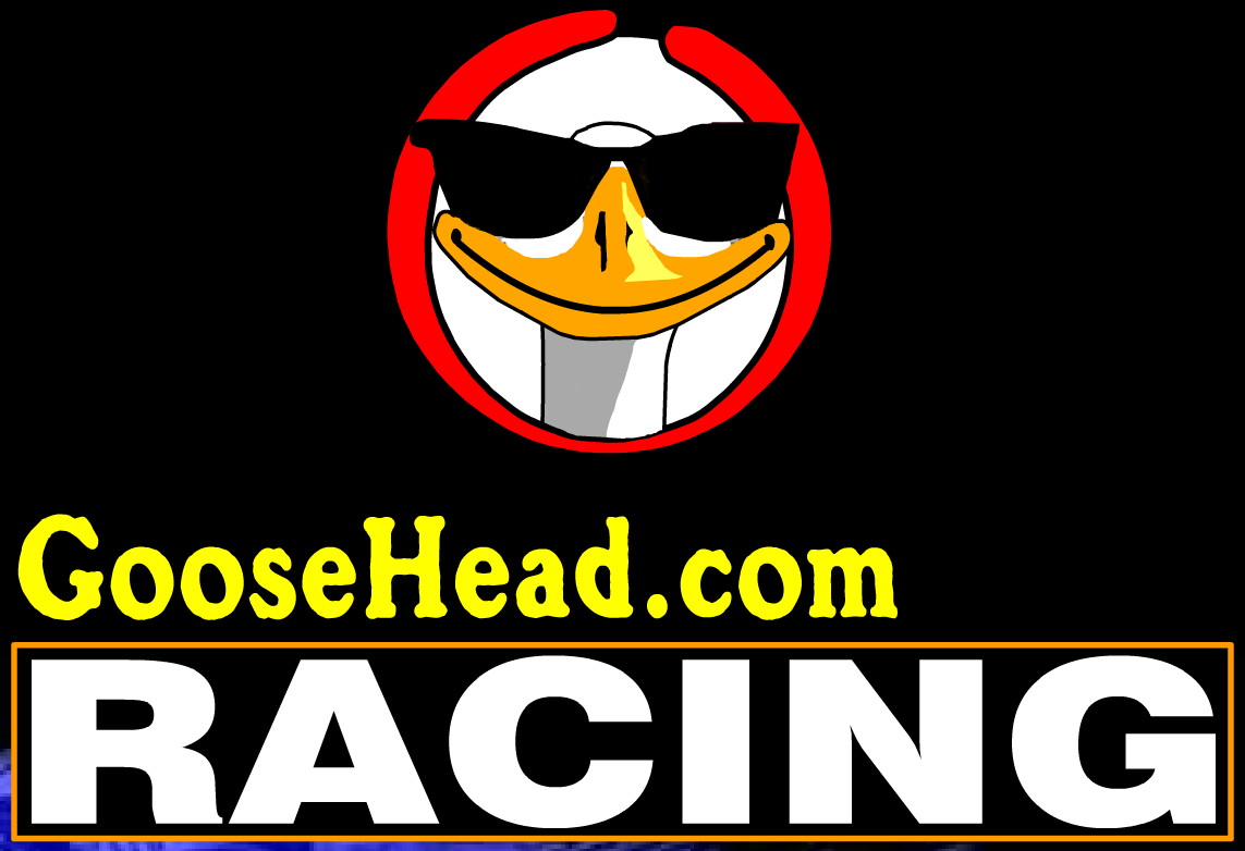 GooseHead.com Racing - Play Online on Flash Museum 🕹️