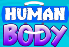 Human Body - Play Online on Flash Museum 🕹️