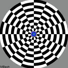 Motion Aftereffect (Waterfall Illusion) - Play Online on Flash Museum 🕹️