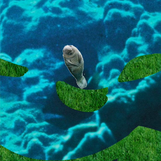 Mr Manatee's Crazy Cookie Raid - Play Online on Flash Museum 🕹️