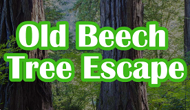 Old Beech Tree Escape - Play Online on Flash Museum 🕹️