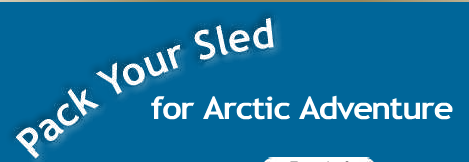 Pack Your Sled for Arctic Adventure - Play Online on Flash Museum 🕹️
