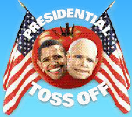 Presidential Toss Off - Play Online on Flash Museum 🕹️