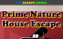 Prime Nature House Escape - Play Online on Flash Museum 🕹️