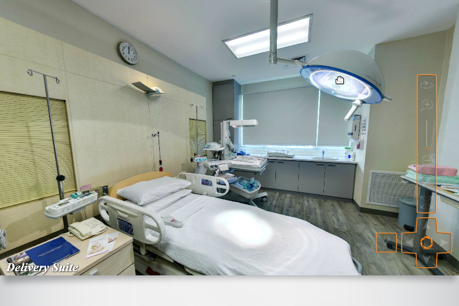 Raffles Hospital Delivery Suite - Play Online on Flash Museum 🕹️