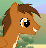 Runaway Pony - Play Online on Flash Museum 🕹️