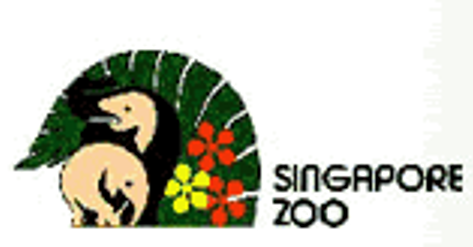 Singapore Zoo Website Banner (2005) - Play Online on Flash Museum 🕹️