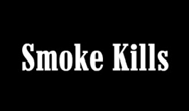 Smoke Kills - Play Online on Flash Museum 🕹️