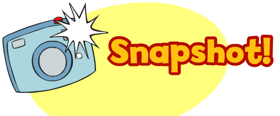 Snapshot! - Play Online on Flash Museum 🕹️