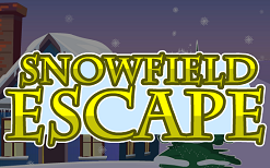 Snowfield Escape - Play Online on Flash Museum 🕹️