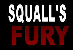 Squall's Fury - Play Online on Flash Museum 🕹️