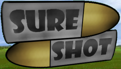 Sure Shot - Play Online on Flash Museum 🕹️