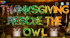 Thanksgiving Rescue The Owl - Play Online on Flash Museum 🕹️