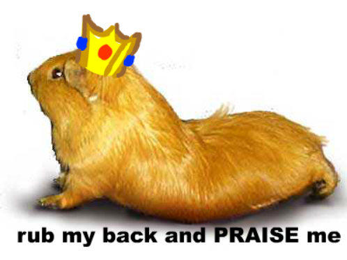 The Guinea Pig Way - Play Online on Flash Museum 🕹️