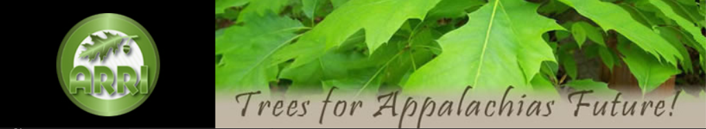 Trees for Appalachias Future! Banner - Play Online on Flash Museum 🕹️