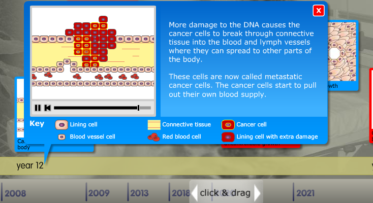 What is Cancer? - Play Online on Flash Museum 🕹️