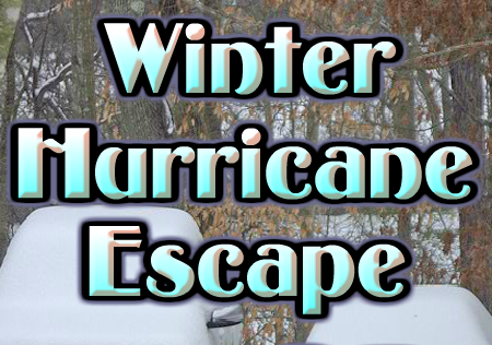 Winter Hurricane Escape - Play Online on Flash Museum 🕹️
