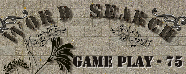 Word Search Game Play - 75 - Play Online on Flash Museum 🕹️