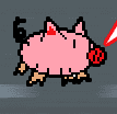 lol, swine flu - Play Online on Flash Museum 🕹️