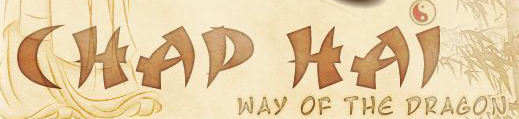 Chap Hai Quest - Play Online on Flash Museum 🕹️
