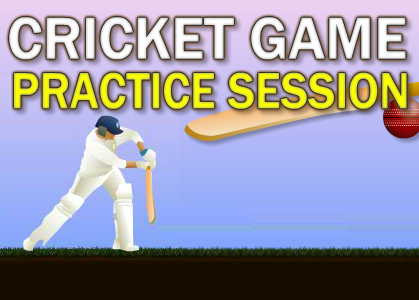 Cricket Game - Play Online on Flash Museum 🕹️