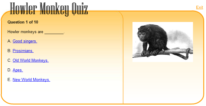 Howler Monkey Quiz - Play Online on Flash Museum 🕹️