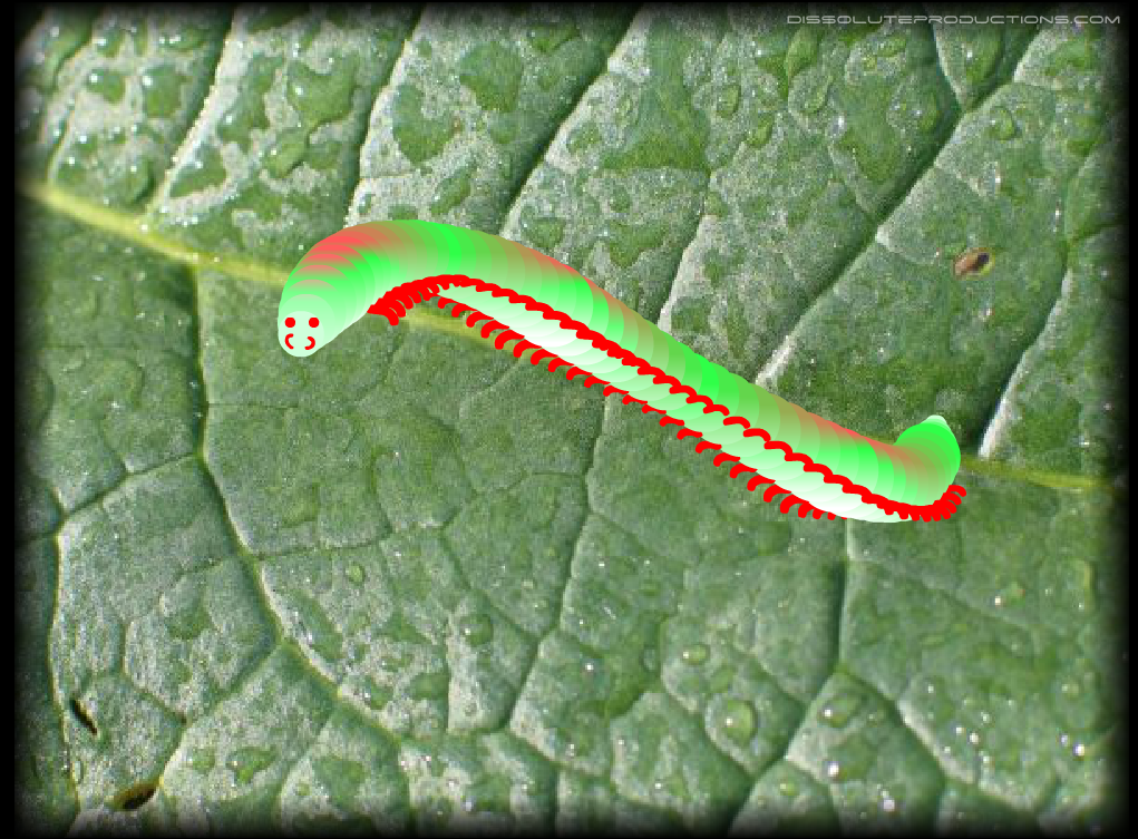 Maggot - Play Online on Flash Museum 🕹️