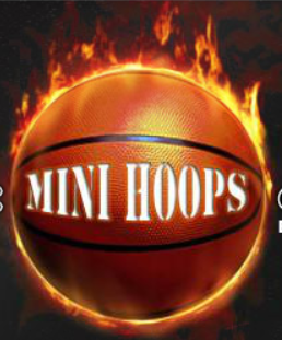 Mini Hoops - Play Online on Flash Museum 🕹️
