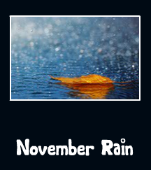 November Rain - Play Online on Flash Museum 🕹️