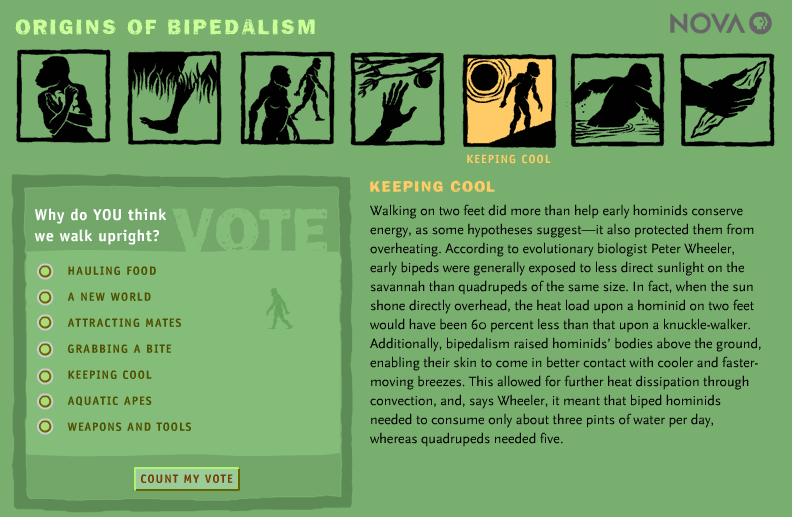 Origins of Bipedalism - Play Online on Flash Museum 🕹️