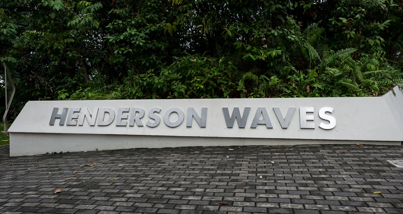 Southern Ridges – Henderson Wave, Alexandra Arch (360 Pano) - Play ...