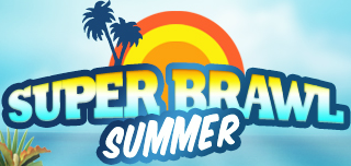 Super Brawl Summer - Play Online on Flash Museum 🕹️