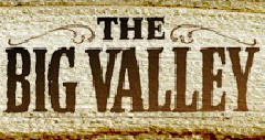 The Big Valley - Play Online on Flash Museum 🕹️